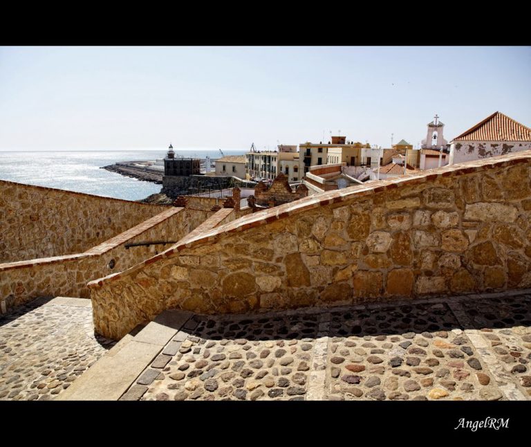 Good Morning MASTER CLASS!!! #14 Inma R. – SILENT MANGA AUDITION®