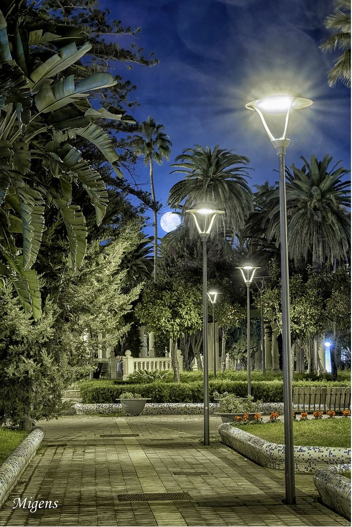 Good Morning MASTER CLASS!!! #14 Inma R. – SILENT MANGA AUDITION®