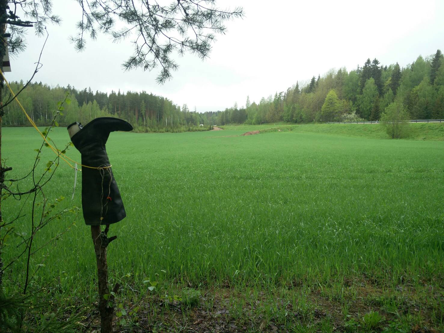 Meet the Artists Village MasterClass #1: Enewald – SILENT MANGA AUDITION®